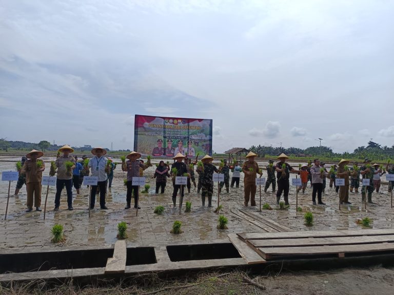 Forum Penyusunan Renstra Dinas Tanaman Pangan dan Hortikultura Kab. Tanjung Jabung Barat Tahun ...